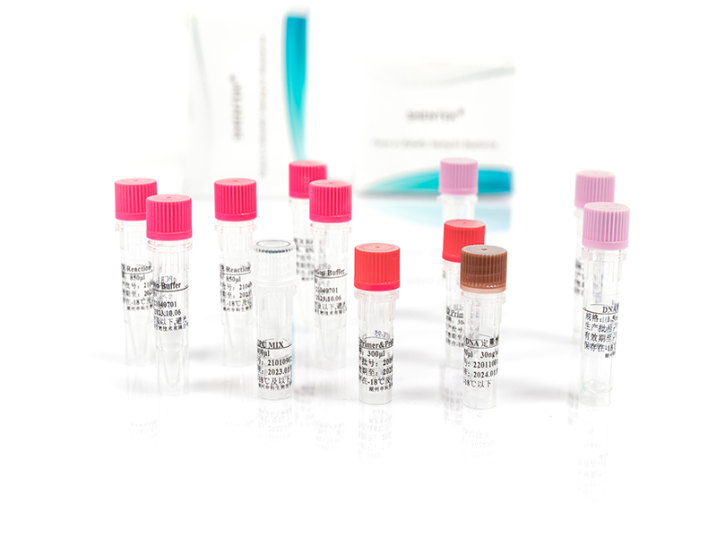 CHO残留DNA片段分析检测试剂盒（2G）（PCR-荧光探针法）-湖州申科生物技术股份有限公司