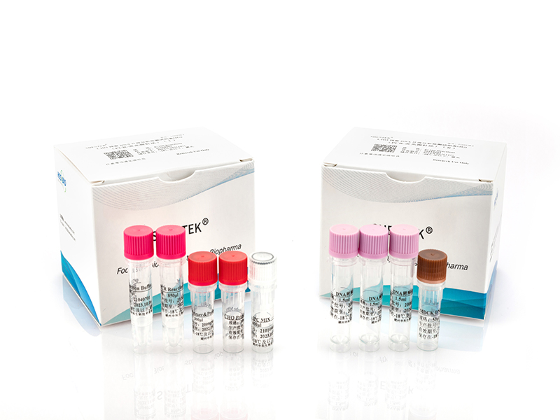 CHO残留DNA片段分析检测试剂盒（2G）（PCR-荧光探针法）-湖州申科生物技术股份有限公司