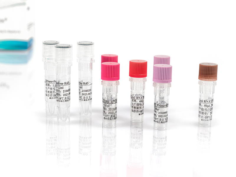 E.coli总RNA残留检测试剂盒（RT-PCR荧光探针法）-湖州申科生物技术股份有限公司