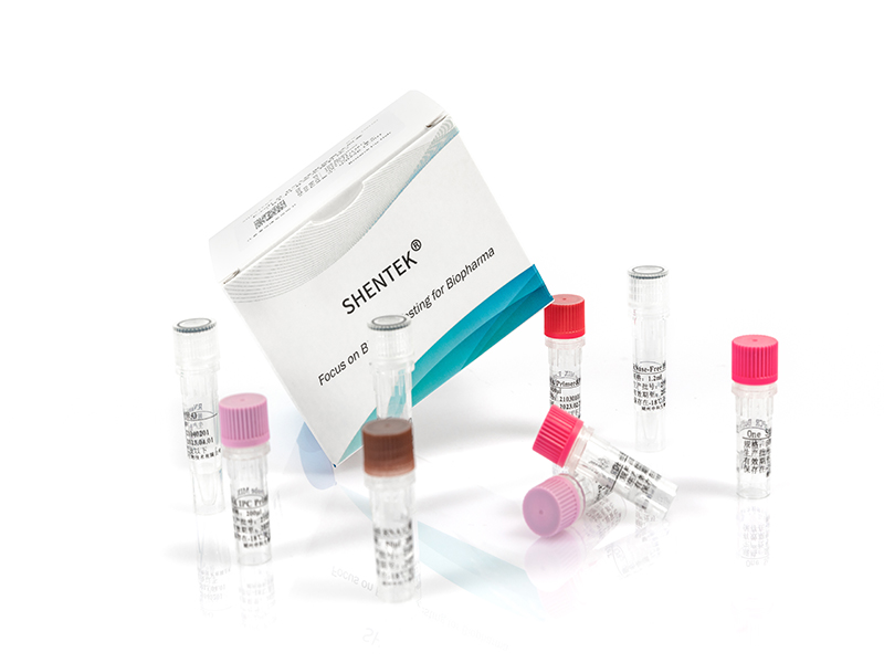 E.coli总RNA残留检测试剂盒（RT-PCR荧光探针法）-湖州申科生物技术股份有限公司