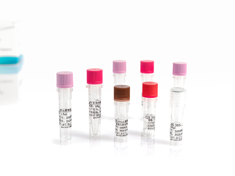 E1B残留DNA检测试剂盒（PCR-荧光探针法）-湖州申科生物技术股份有限公司