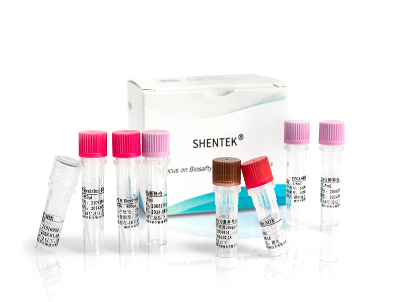 E1B残留DNA检测试剂盒（PCR-荧光探针法）-湖州申科生物技术股份有限公司