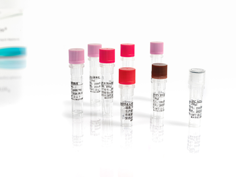 Sf9&AcNPV残留DNA检测试剂盒（多重 PCR-荧光探针法）-湖州申科生物技术股份有限公司