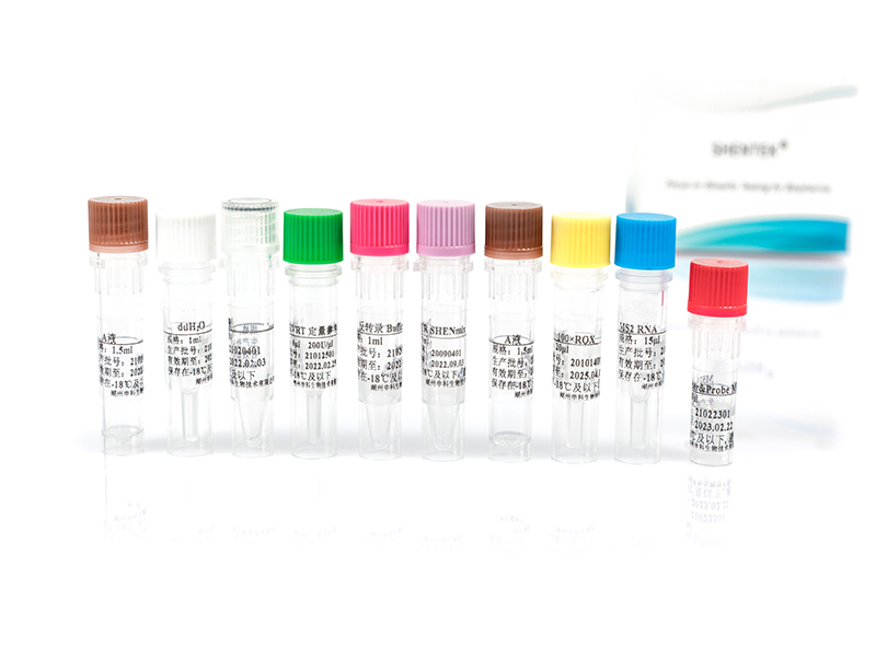 Reverse Transcriptase Assay Kit-HZSKBio