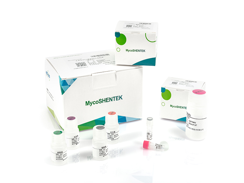Mycoplasma DNA Extraction Kit (2G)-HZSKBio