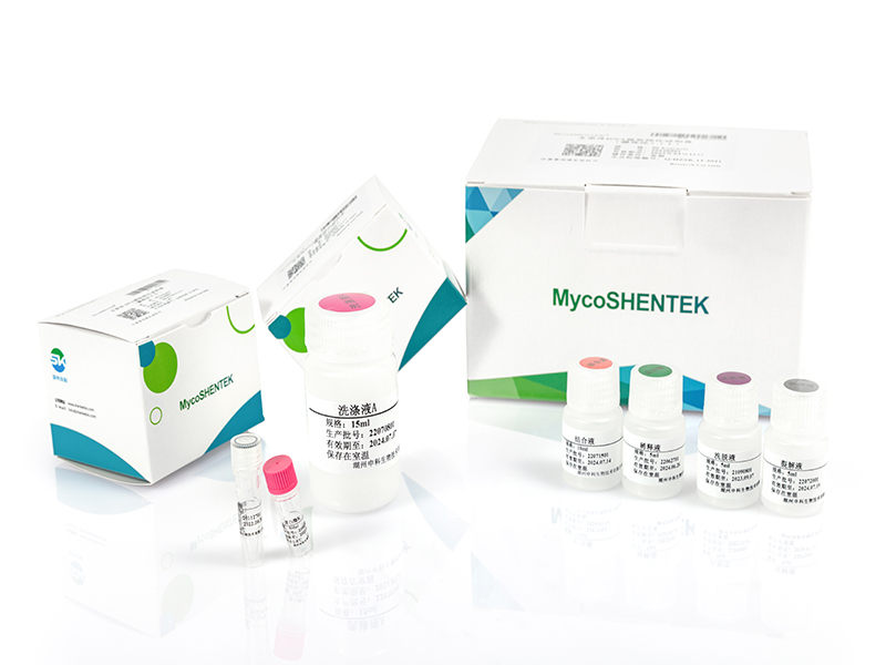 Mycoplasma DNA Extraction Kit (2G)-HZSKBio