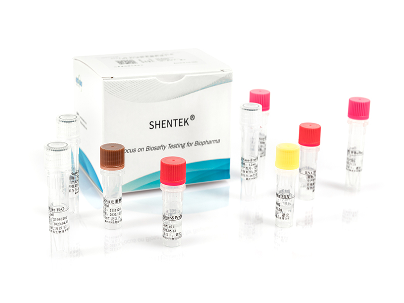 Residual 293T RNA Quantitation Kit-HZSKBio