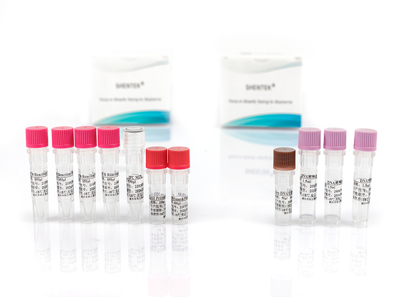 Residual E. coli DNA Size Analysis Kit (2G)-HZSKBio