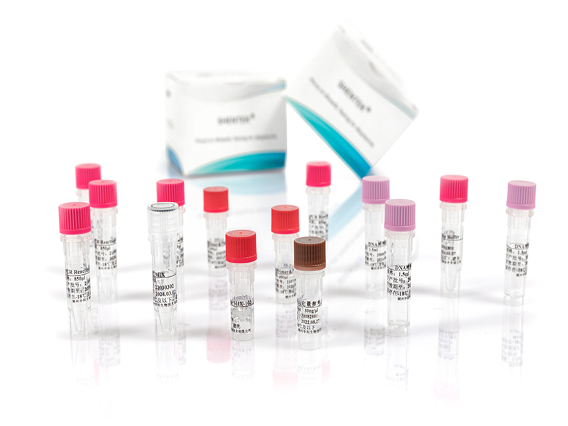 Residual E. coli DNA Size Analysis Kit (2G)-HZSKBio