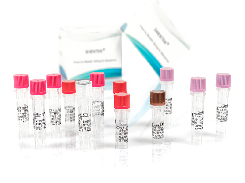 Residual Vero DNA Size Analysis Kit (2G)-HZSKBio