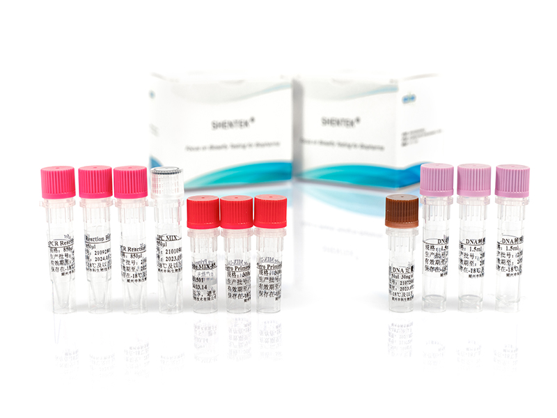 Residual Vero DNA Size Analysis Kit (2G)-HZSKBio
