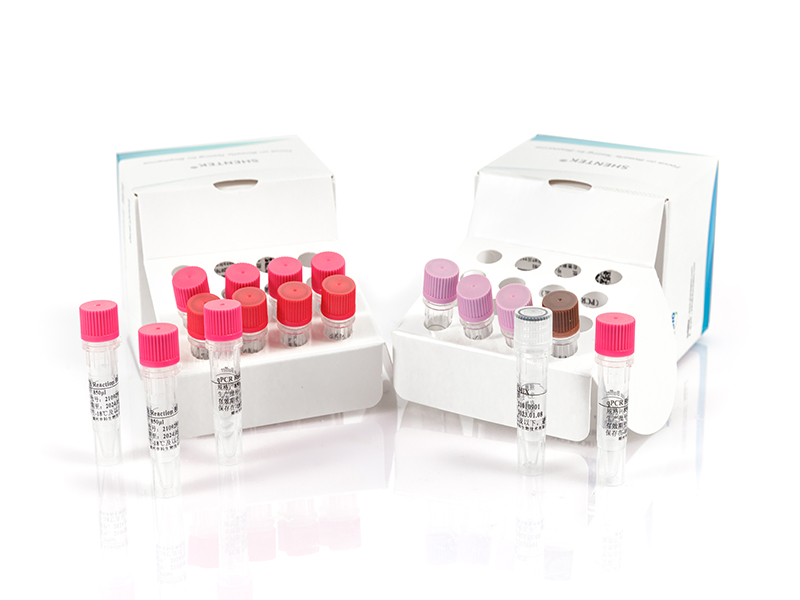 Residual Vero DNA Size Analysis Kit (2G)-HZSKBio