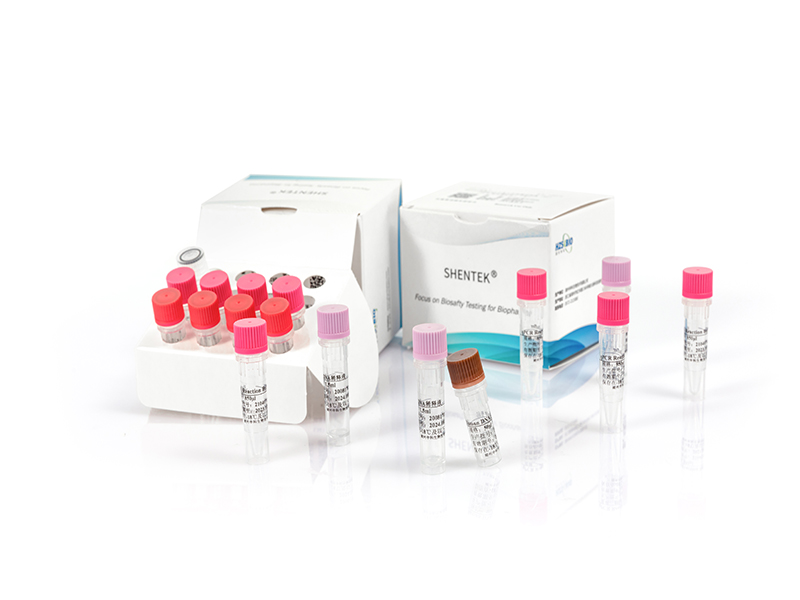 Residual Human DNA Size Analysis Kit (2G)-HZSKBio