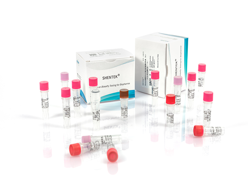 Residual Human DNA Size Analysis Kit (2G)-HZSKBio