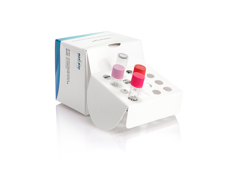 BVDV Detection Kit-HZSKBio